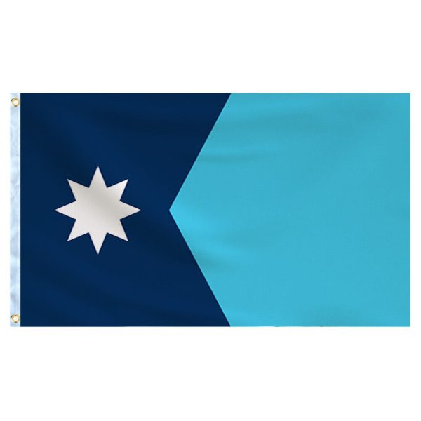 Minnesota State Flag -2024 – American Flagpole & Flag Co.